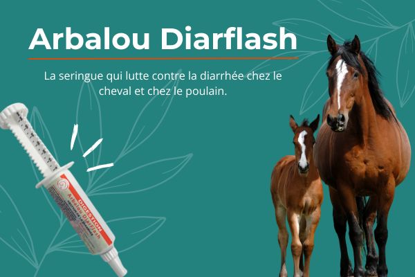 Seringue pour lutter contre la diarrhée chez le cheval et le poulain.